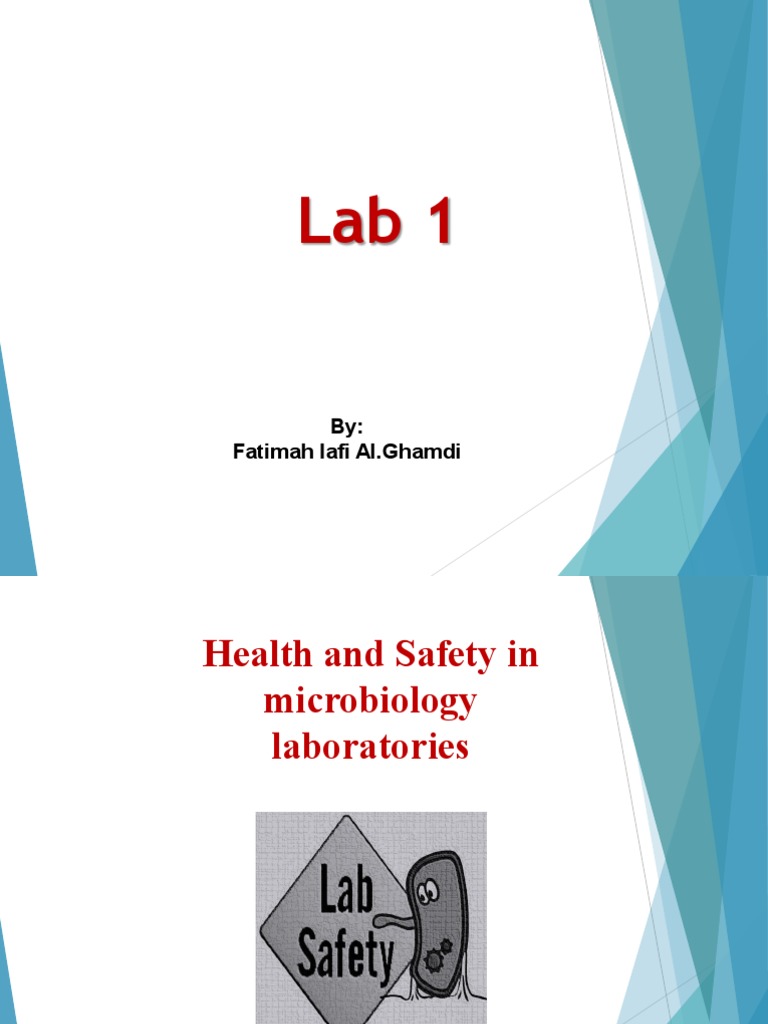 Mycology Lab | PDF | Fungus | Mold
