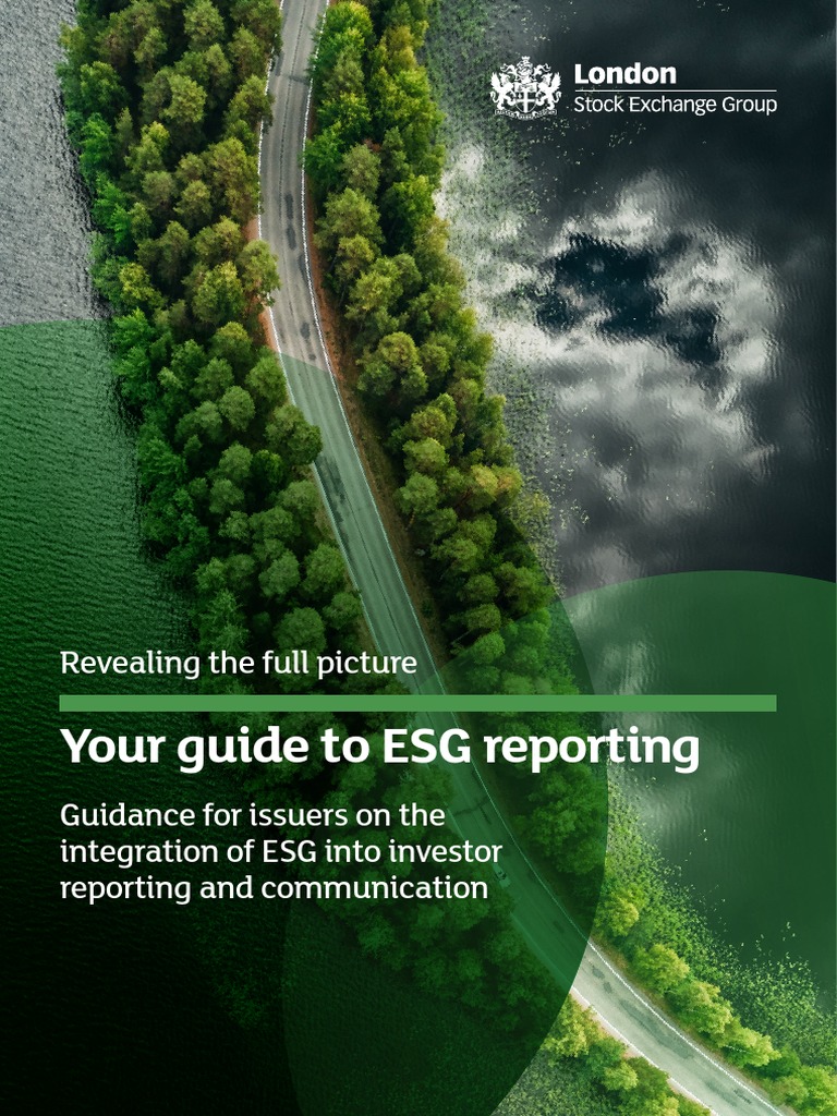 Your Guide To ESG Reporting: Revealing The Full Picture | PDF | Investing | Investor