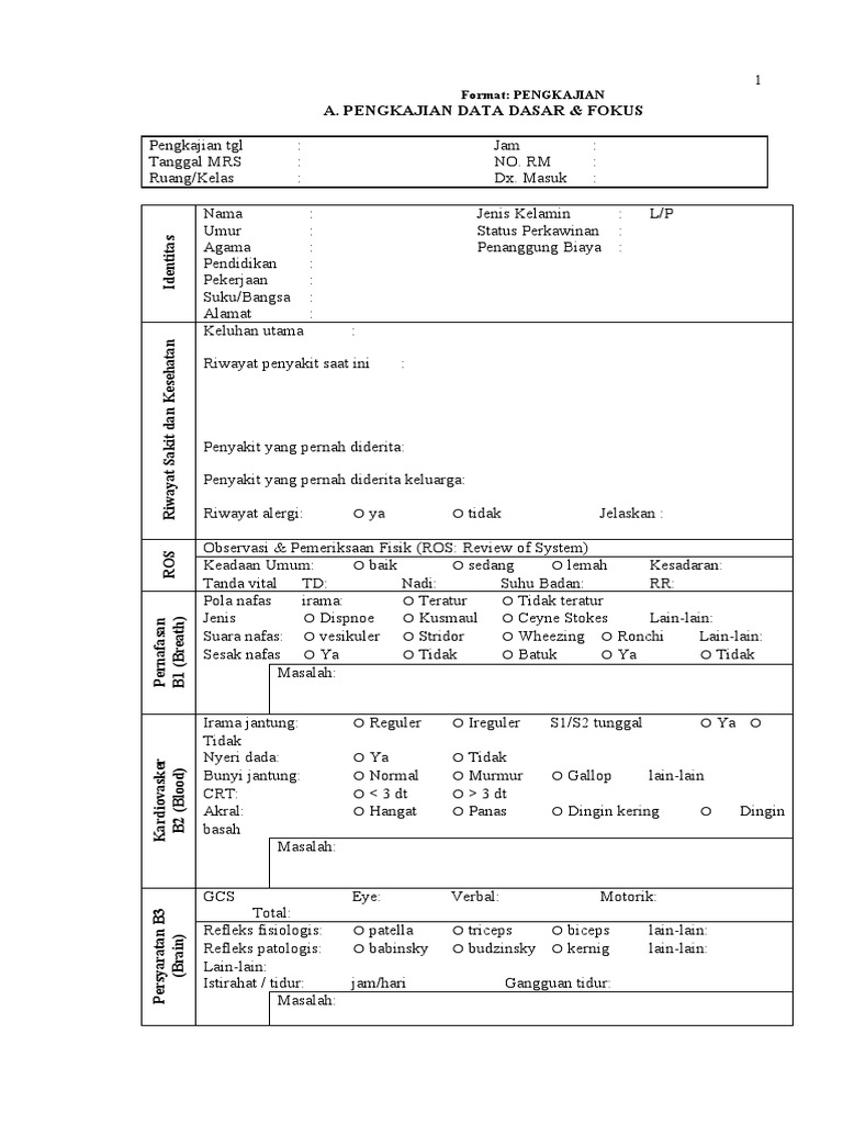 Contoh Format Pengkajian | PDF