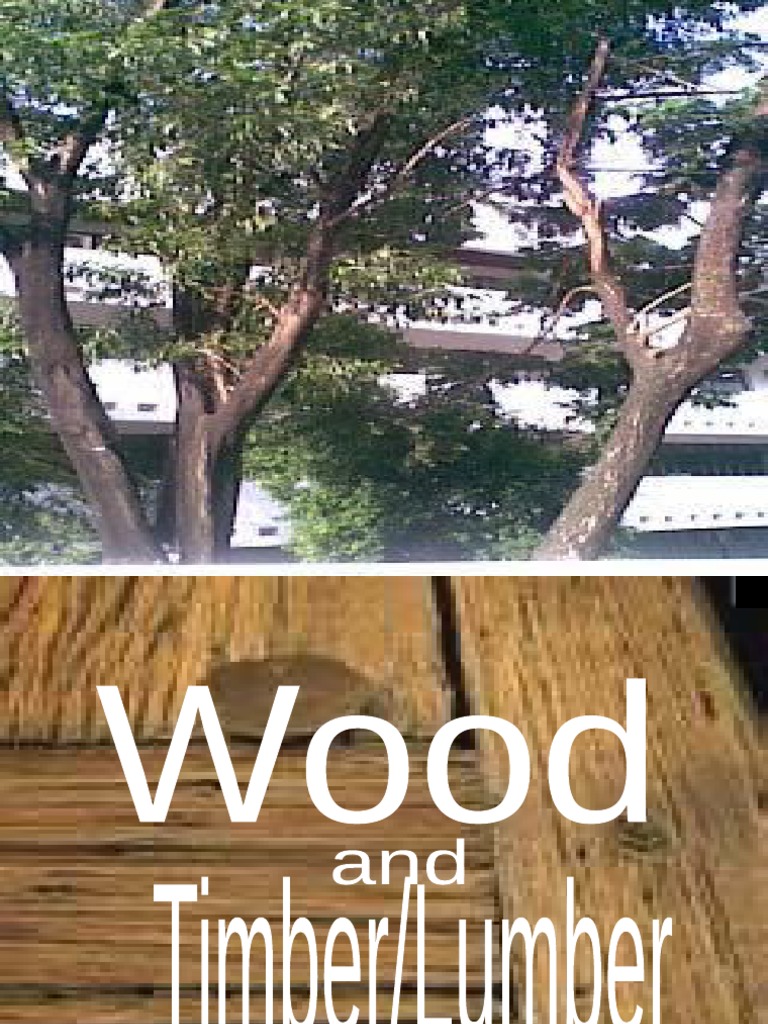 Wood Report | PDF | Wood | Lumber