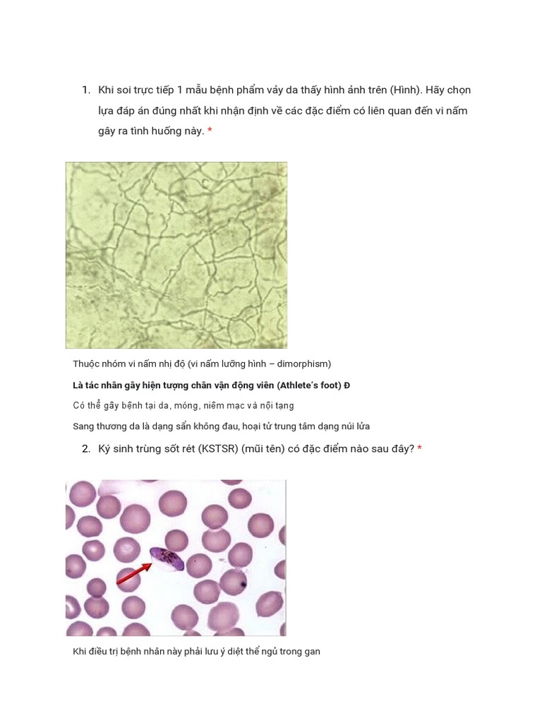 FILE 20220727 231519 Đề-thi-KST-Y19 | PDF