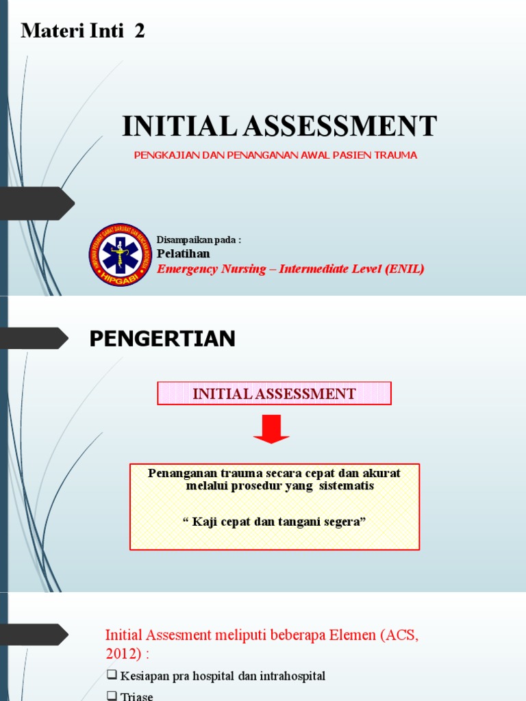Mi 2 Initial Assessment | PDF