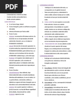 Anatomía del Cúbito y Radio en el Antebrazo | PDF | Codo | Anatomía humana
