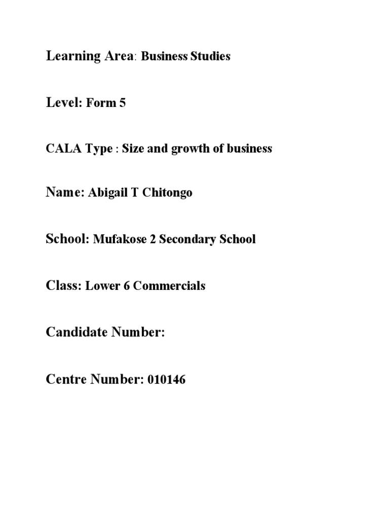 Business Studies CALA | PDF | Small And Medium Sized Enterprises | Taxes