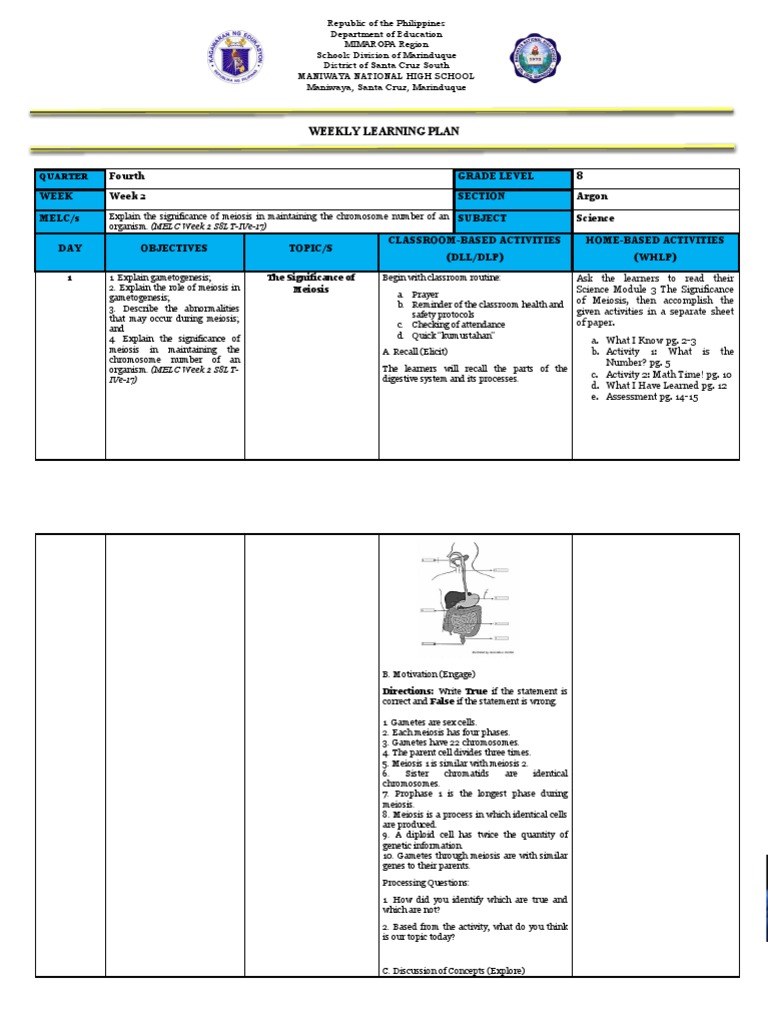 Week 2 | PDF | Meiosis | Genetics
