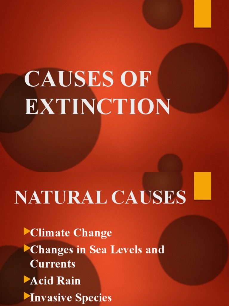 Causes of Extinction | PDF