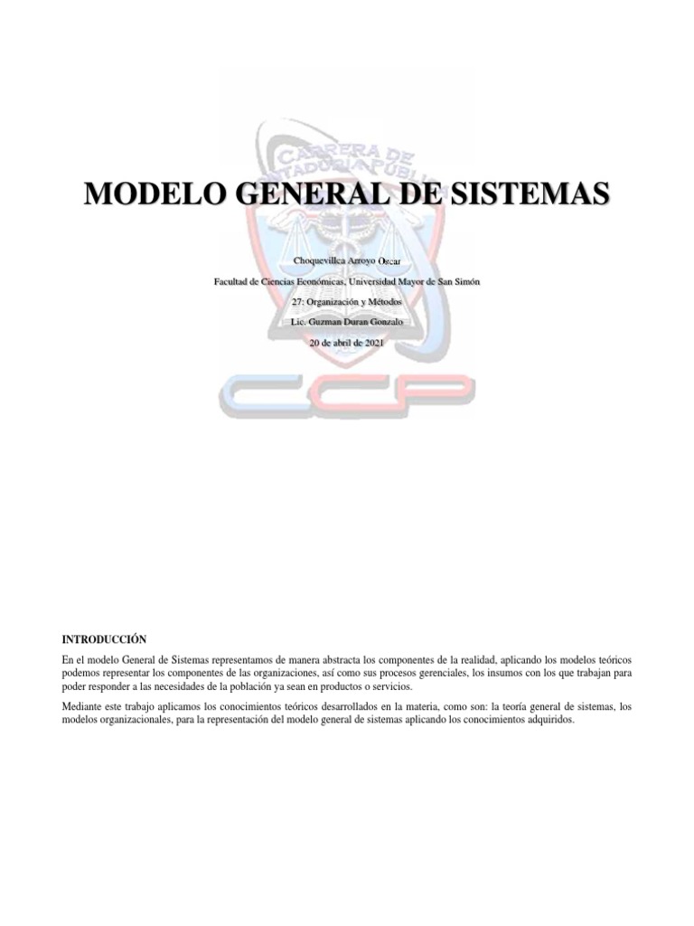 Modelo General de Sistemas en Organizaciones | PDF | Netflix | Calidad ...