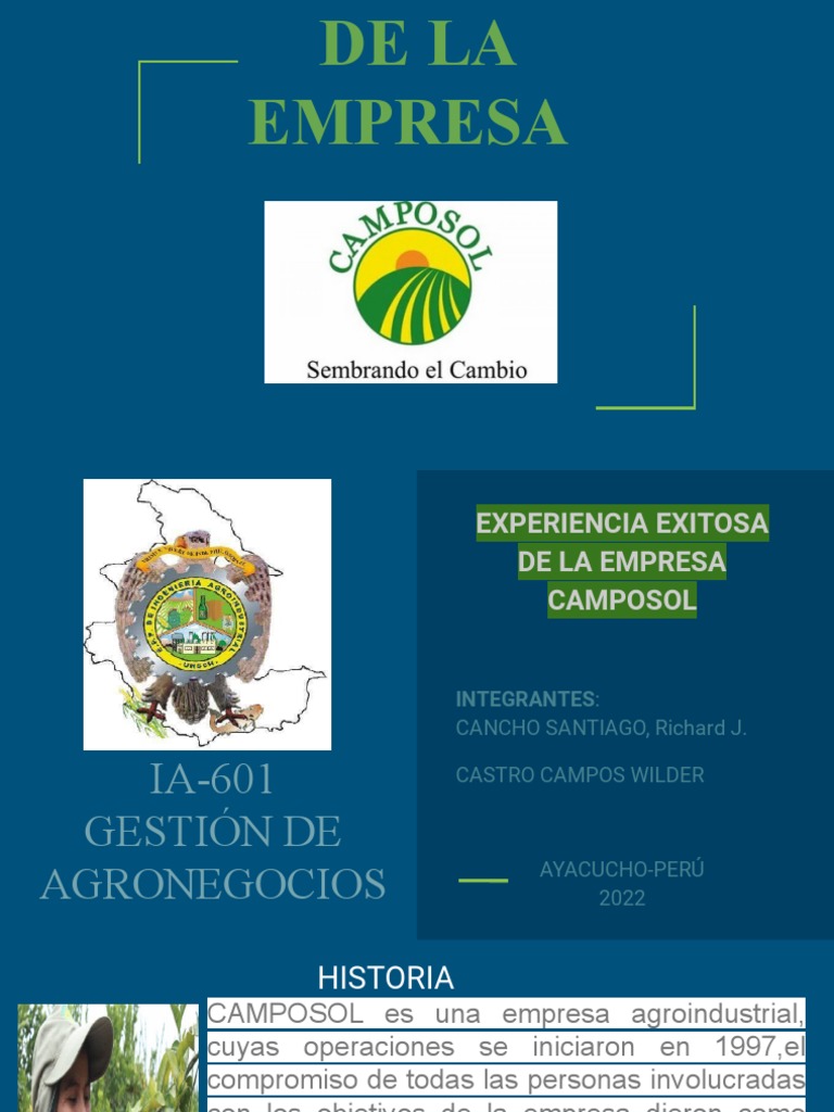 Historia de Camposol | PDF | Business | Economias