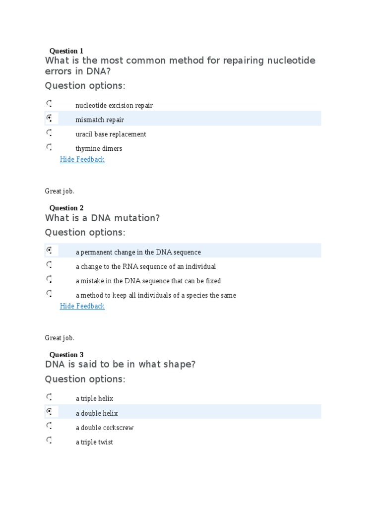 What Is The Most Common Method For Repairing Nucleotide Errors in DNA ...