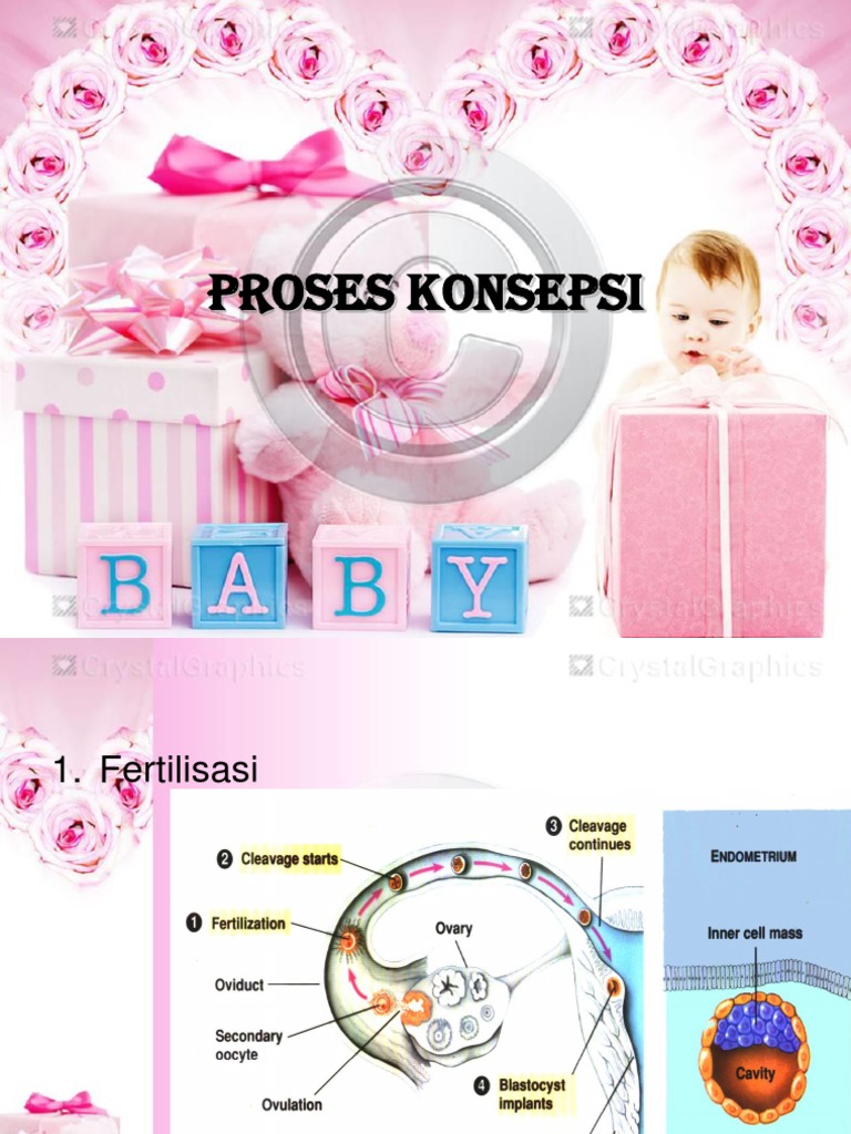 Proses Konsepsi Jadi | PDF