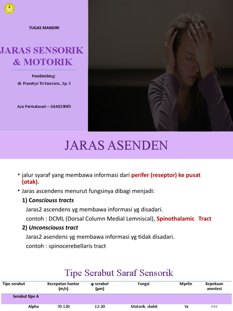 Jaras Sensorik Dan Motorik | PDF