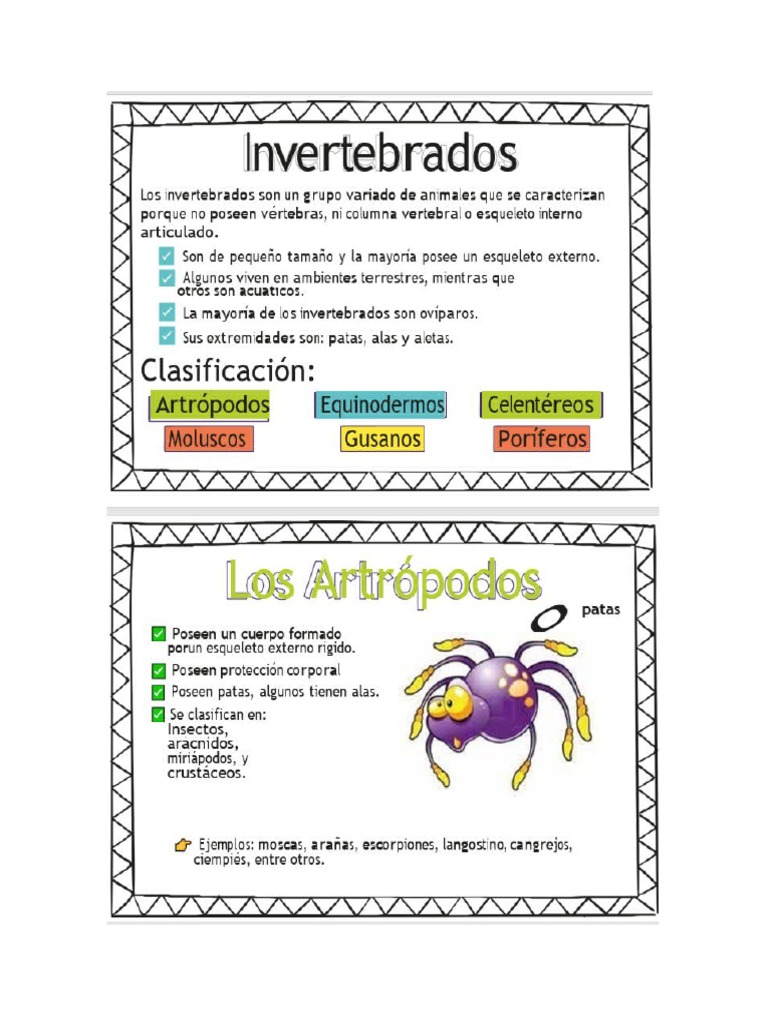 Animales Invertebrados | PDF