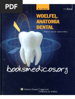 Cíngulo Dental: Revisión y Funciones | PDF | Boca | Odontología