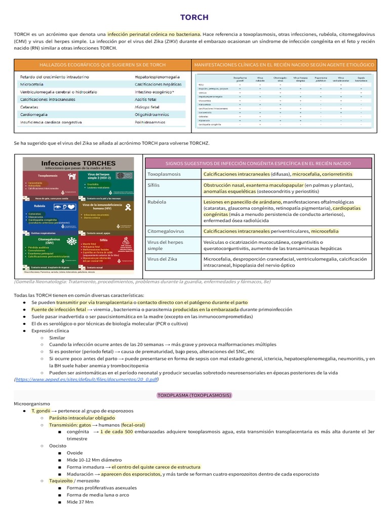 Infecciones TORCH: Características clínicas, diagnóstico y tratamiento ...