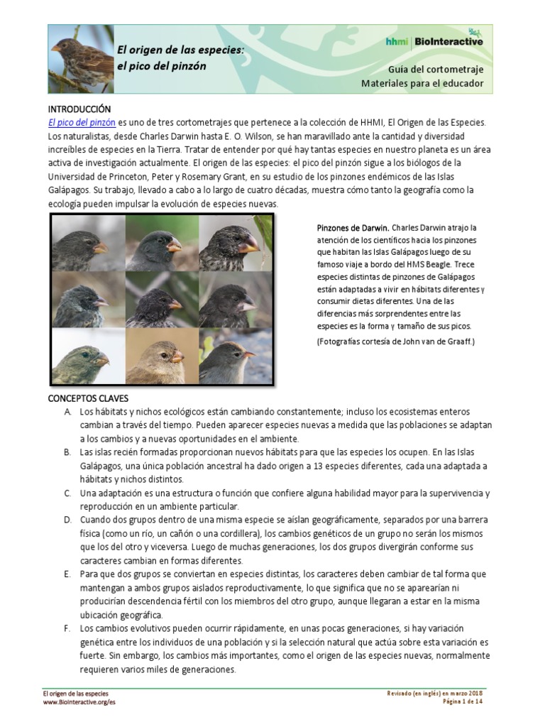 Origin of Species Beak of The Finch Film | PDF | En el origen de las ...
