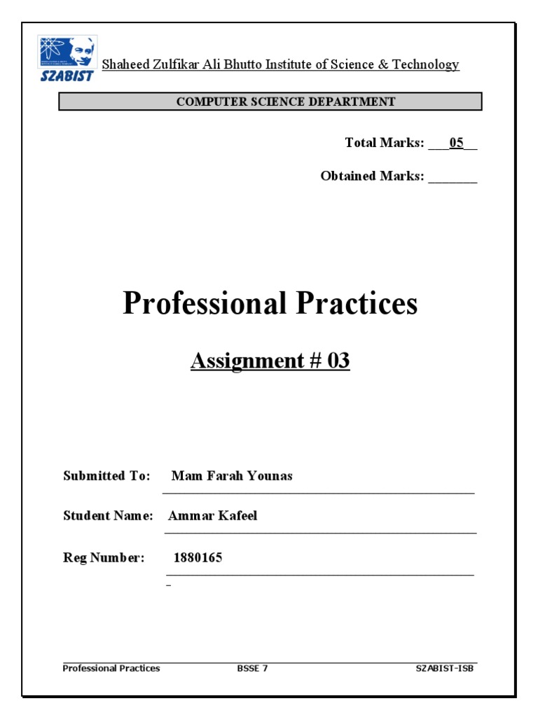 Professional Practices: Assignment # 03 | PDF | Data | Information