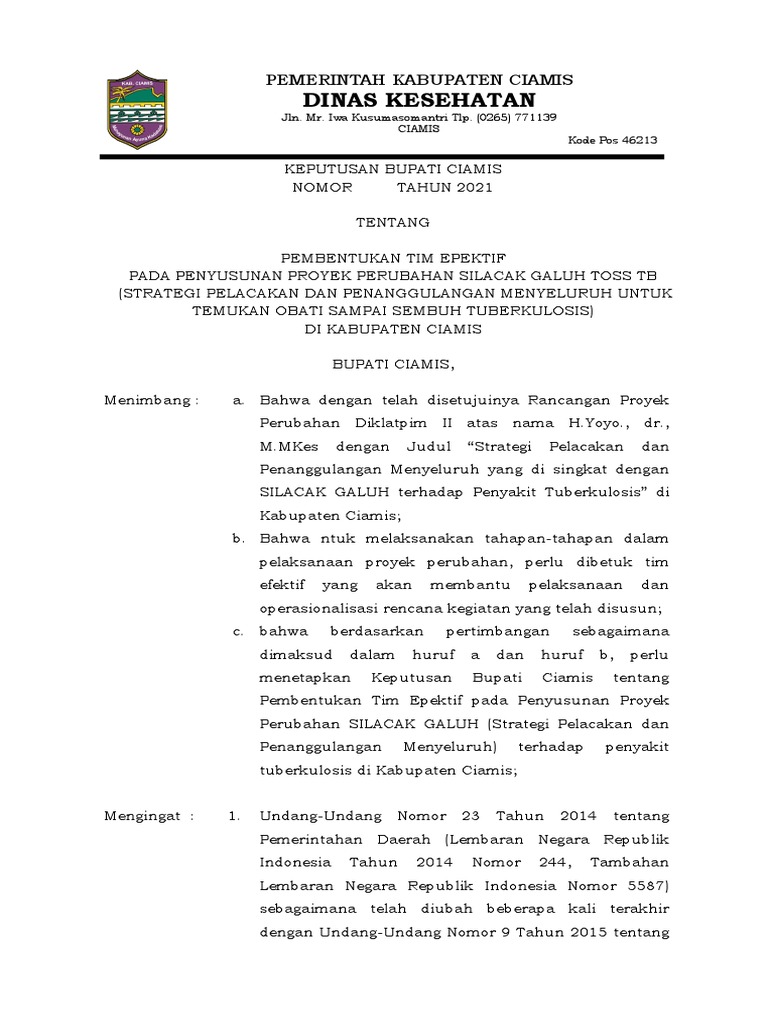 Draft SK Tim Efektif | PDF