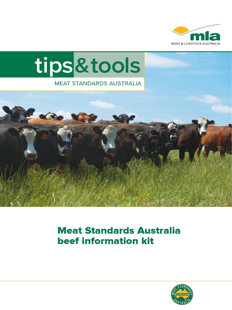 Meat Standards Australia | PDF | Cattle | Beef