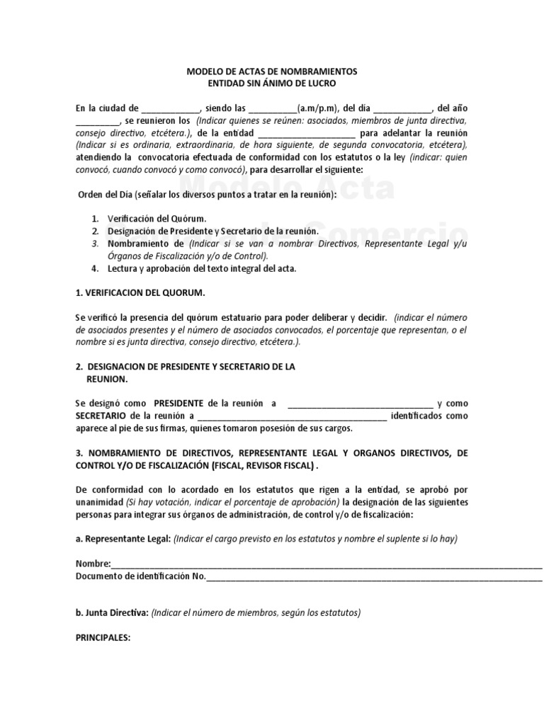 Modelo de Acta de Nombramiento | PDF | Gobierno