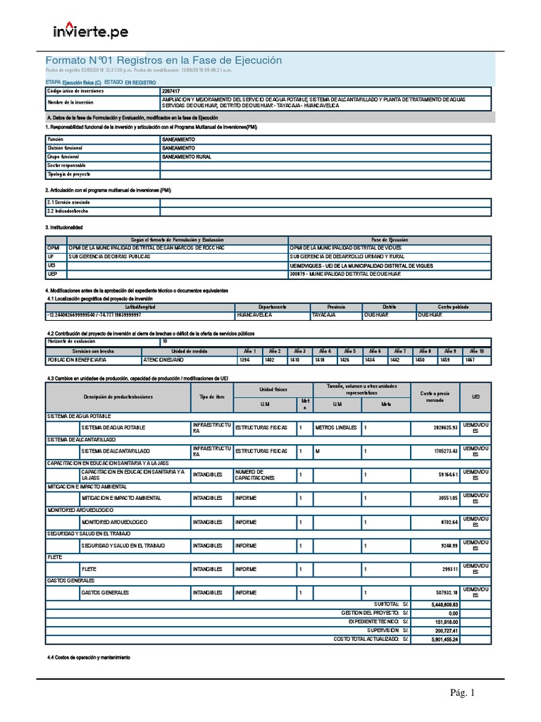 Formato 1 - Registro de La Fase de Inversión | PDF