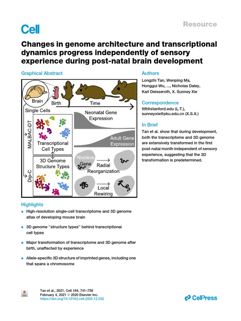 Changes in Genome Architecture and Transcriptional Dynamics Progress Independently of Sensory ...