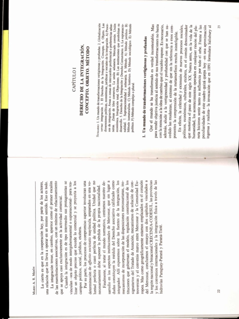 Mario Midon Cap 1 | PDF