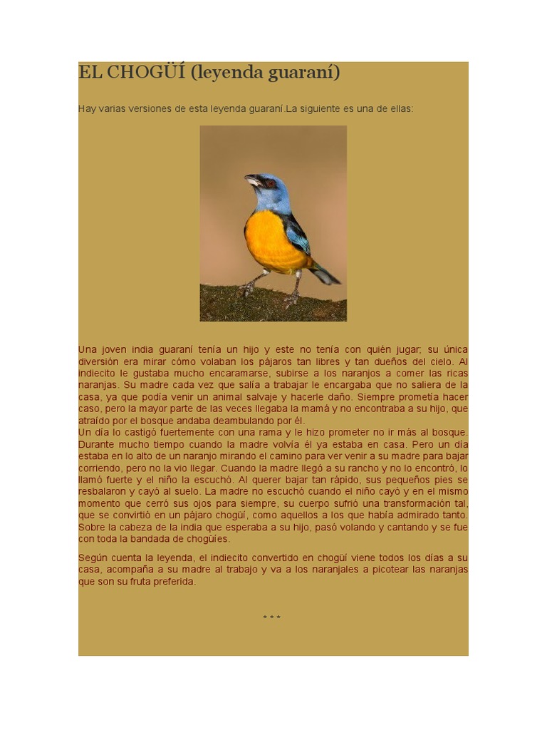 Leyenda del Pájaro Chogüí Guaraní | PDF | Aves