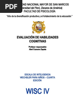 WISC-IV para El Informe, Ejemplo de Devolución. | PDF | Inteligencia | Ciencias del comportamiento