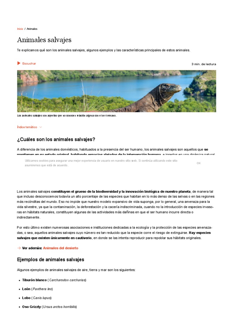 Animales Salvajes - Concepto, Características y Ejemplos | PDF | Fauna silvestre | Domesticación