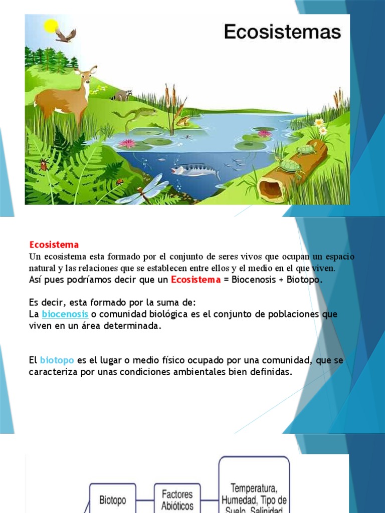 Biotopo y Biocenosis en Ecosistemas | PDF