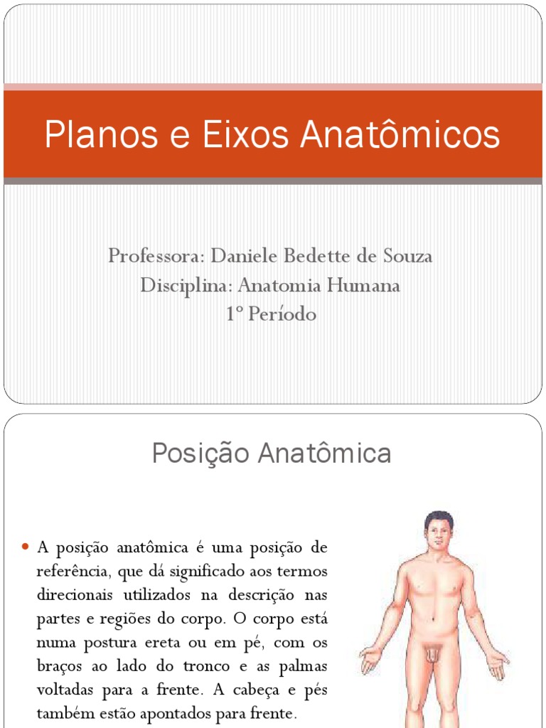 1 - Planos e Eixos Anatomicos | Download grátis PDF | Anatomia | Zoologia