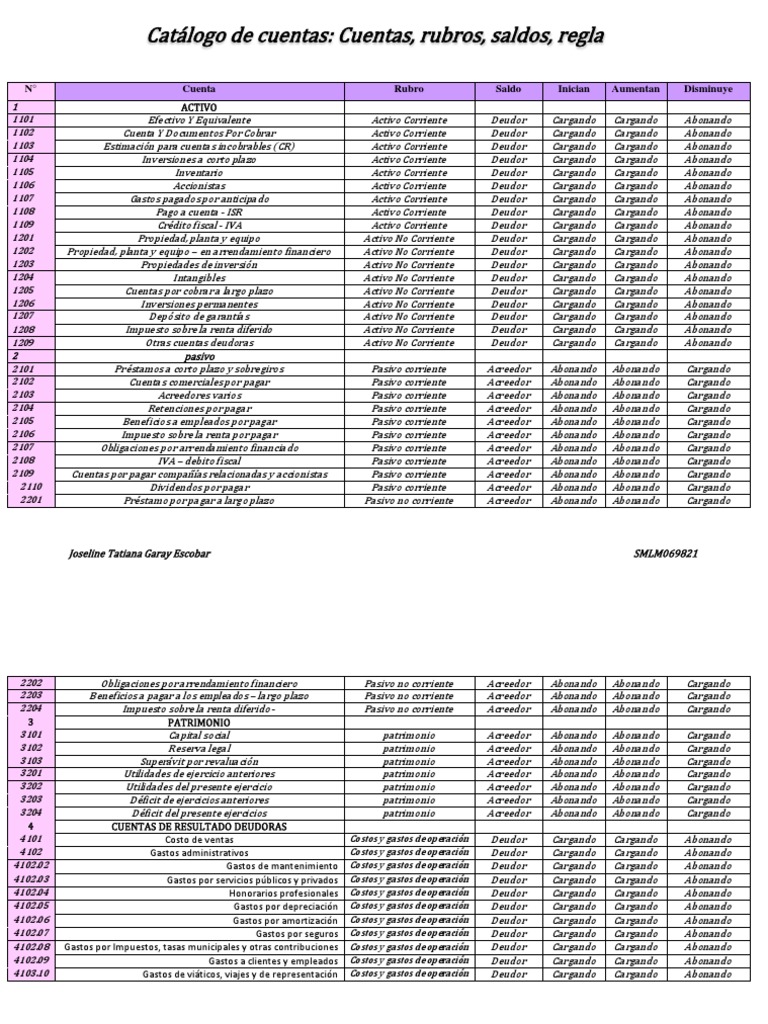 Catalogo de Cuentas | PDF | Activo fijo | Responsabilidad (contabilidad financiera)