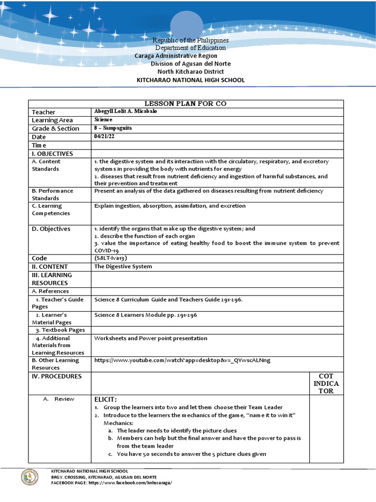 Lesson Plan Template | PDF | Human Digestive System | Gastrointestinal ...