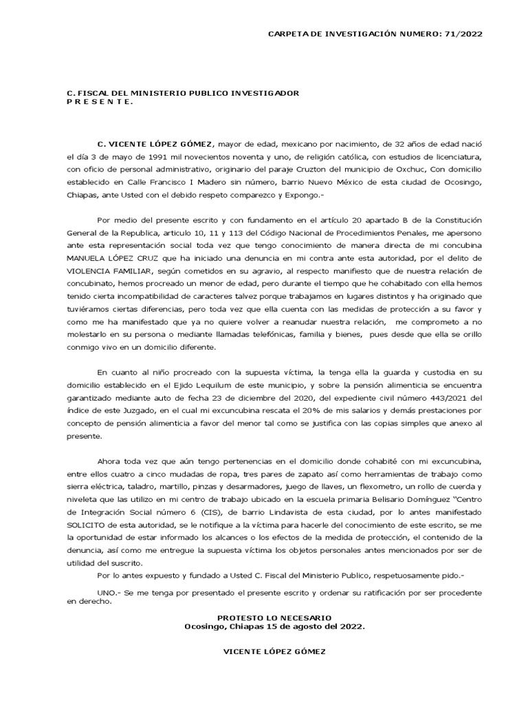 Escrito Violencia Familiar Vicente | PDF | Justicia | Crimen y violencia