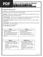CLASS 3 SCIENCE CHAPTER 3 BIRDS Mrs. Geetarani Das | PDF | Birds | Feather