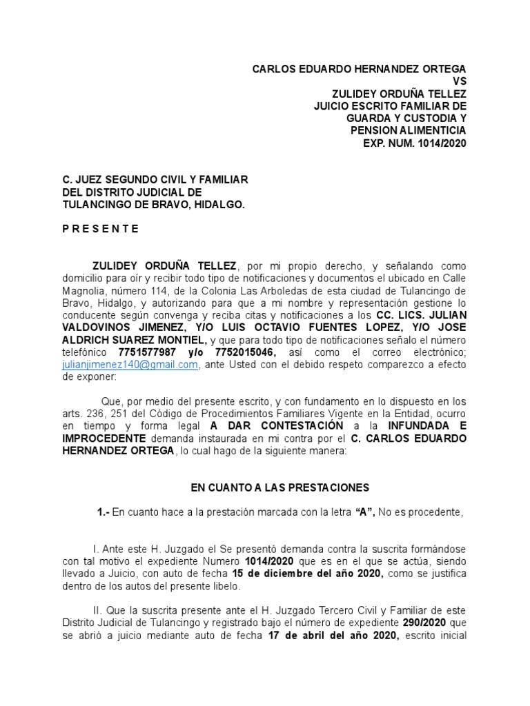 Excepción de Litispendencia | PDF | Pensión alimenticia | Gobierno