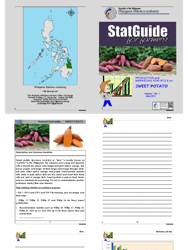 Philippine Sweet Potato Production Data | PDF | Food And Drink | Economies