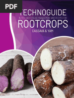Ubi Production Guide for Farmers | PDF | Mulch | Fertilizer