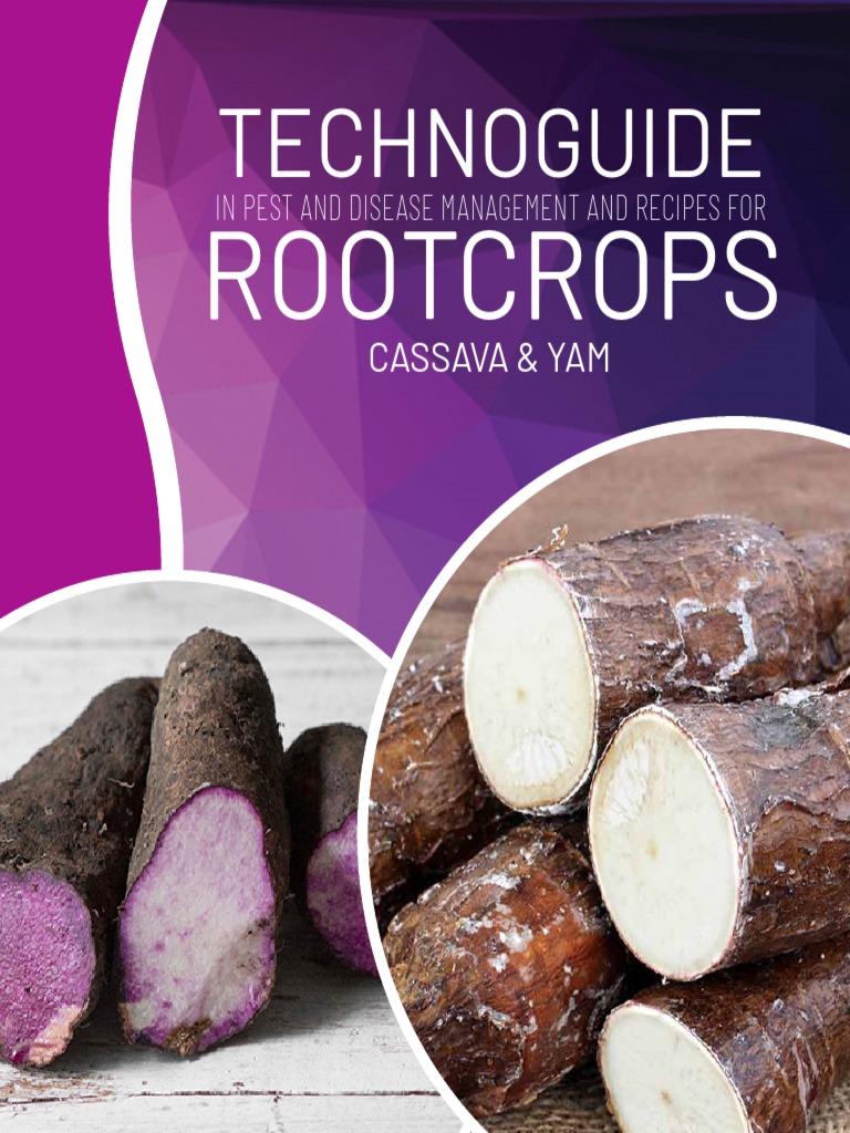 Cassava and Yam Production and Management Tecnoguide | PDF | Cakes ...