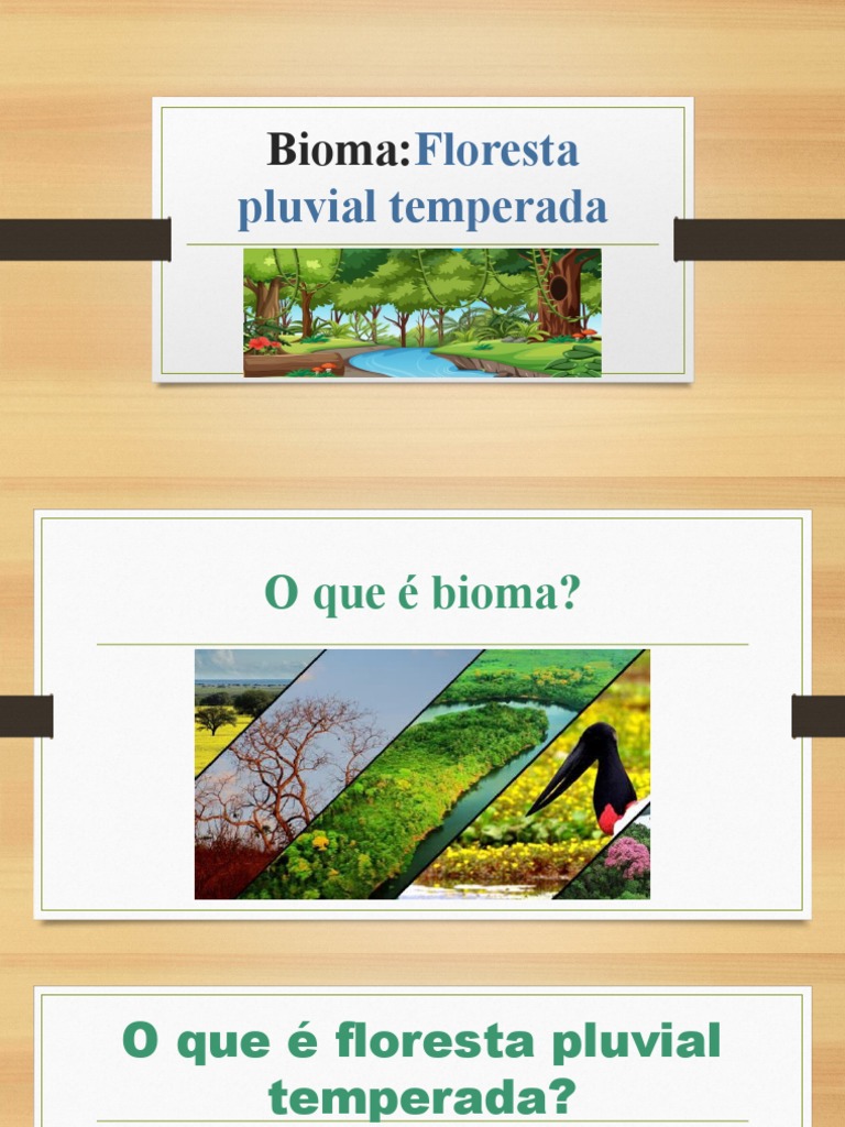 Floresta Pluvial Temperada | PDF