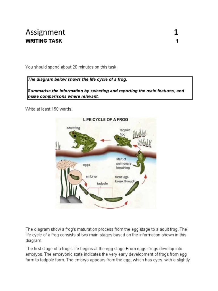 Assignment: Writing Task 1 | PDF | Language Arts & Discipline | Foreign ...