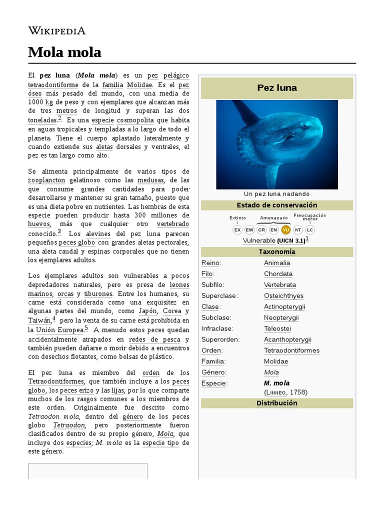 Pez Luna | PDF | Pescado | Animales acuáticos