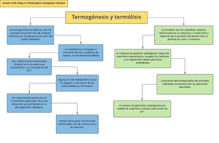 Termogenesis y Termolisis | PDF | Termorregulación | Fisiología