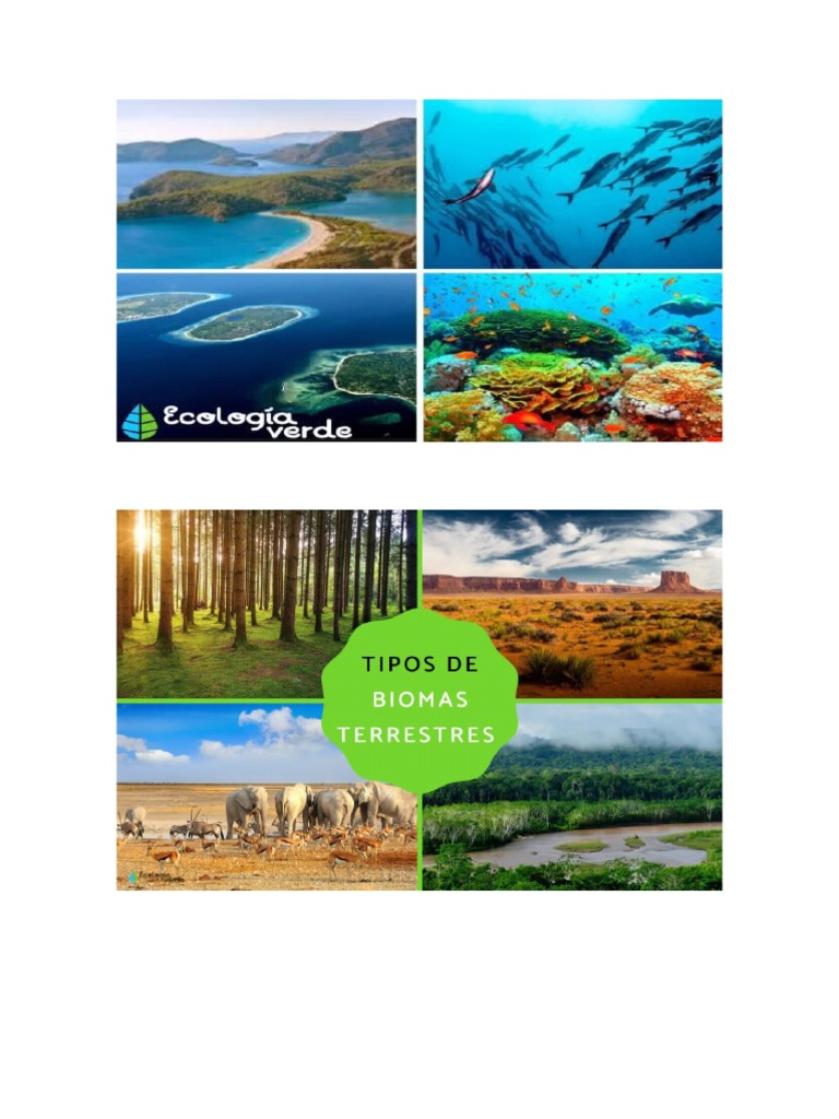 Tipos de Biomas Imagenes | PDF