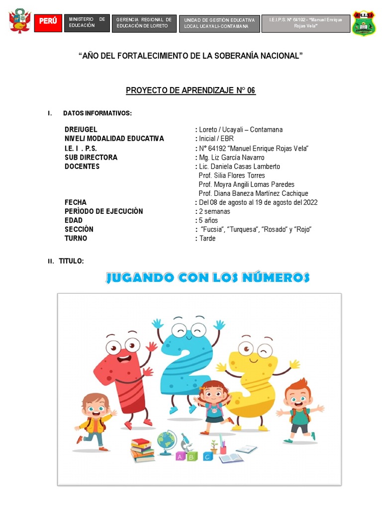 Proyecto de Aprendizaje N°6 | PDF | Evaluación | Aprendizaje
