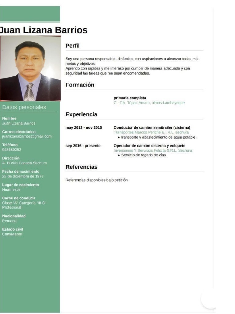Cv-Juan Lizana Barrios | PDF
