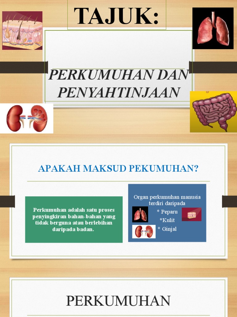Perkumuhan Dan Penyahtinjaan - Mega | PDF