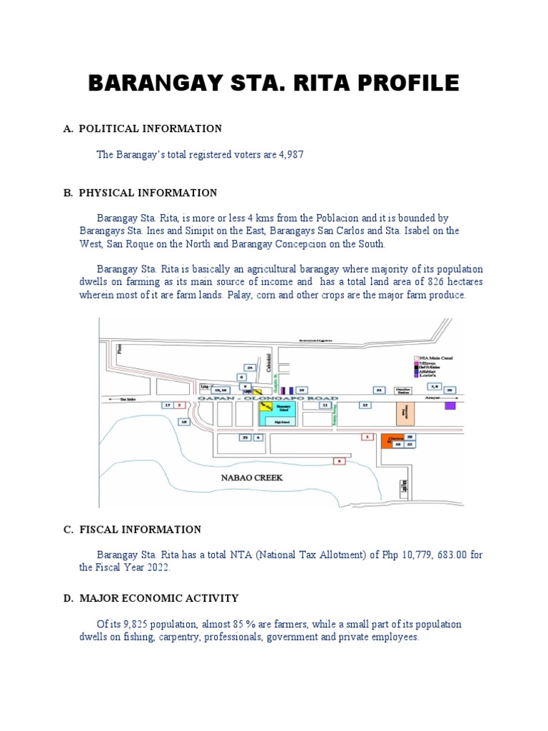 BARANGAY-STA-RITA-PROFILE | PDF
