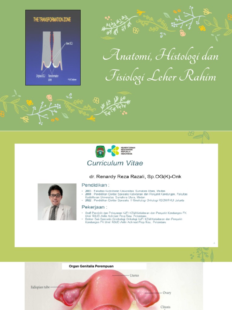 12.07.22 - Anatomi (SSK), Perjalanan Alamiah Dan Patofisiologi Kanker Serviks - Renardy | PDF