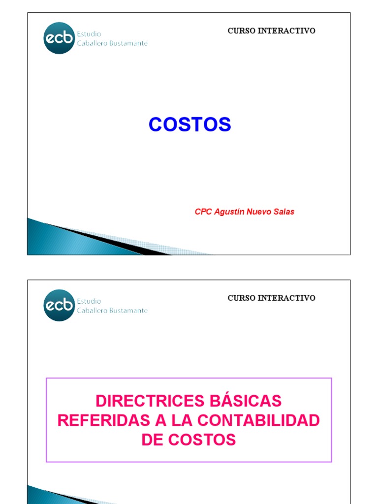 Directrices Básicas Referidas A La Contabilidad de Costos | PDF | Costo ...